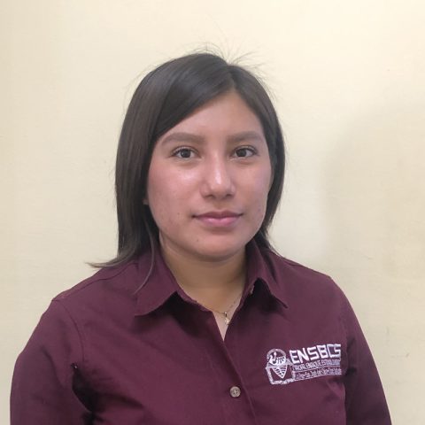 Directorio | Escuela Normal Superior del Estado de Baja California Sur